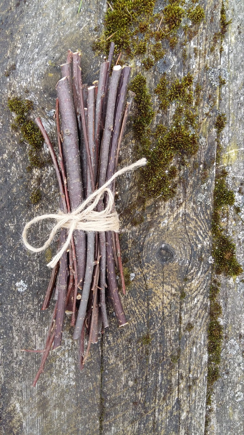 Hackberry Twigs Rustic Home Decor Wooden Twigs Branch Bundle - Etsy