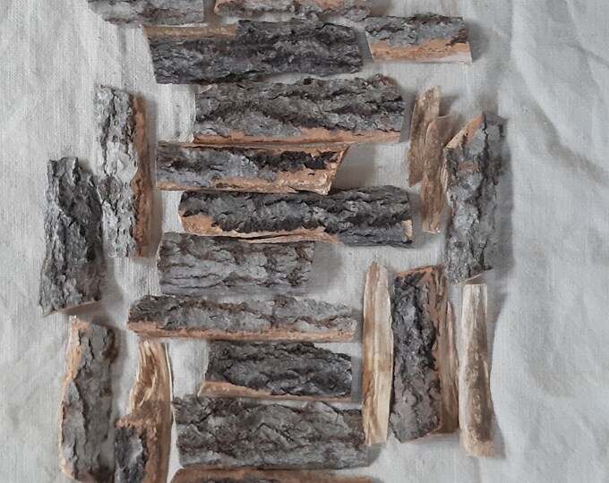 Natural Bark Wood Bark Pieces Decorative Real Bark Slices Sheets Aspen ...
