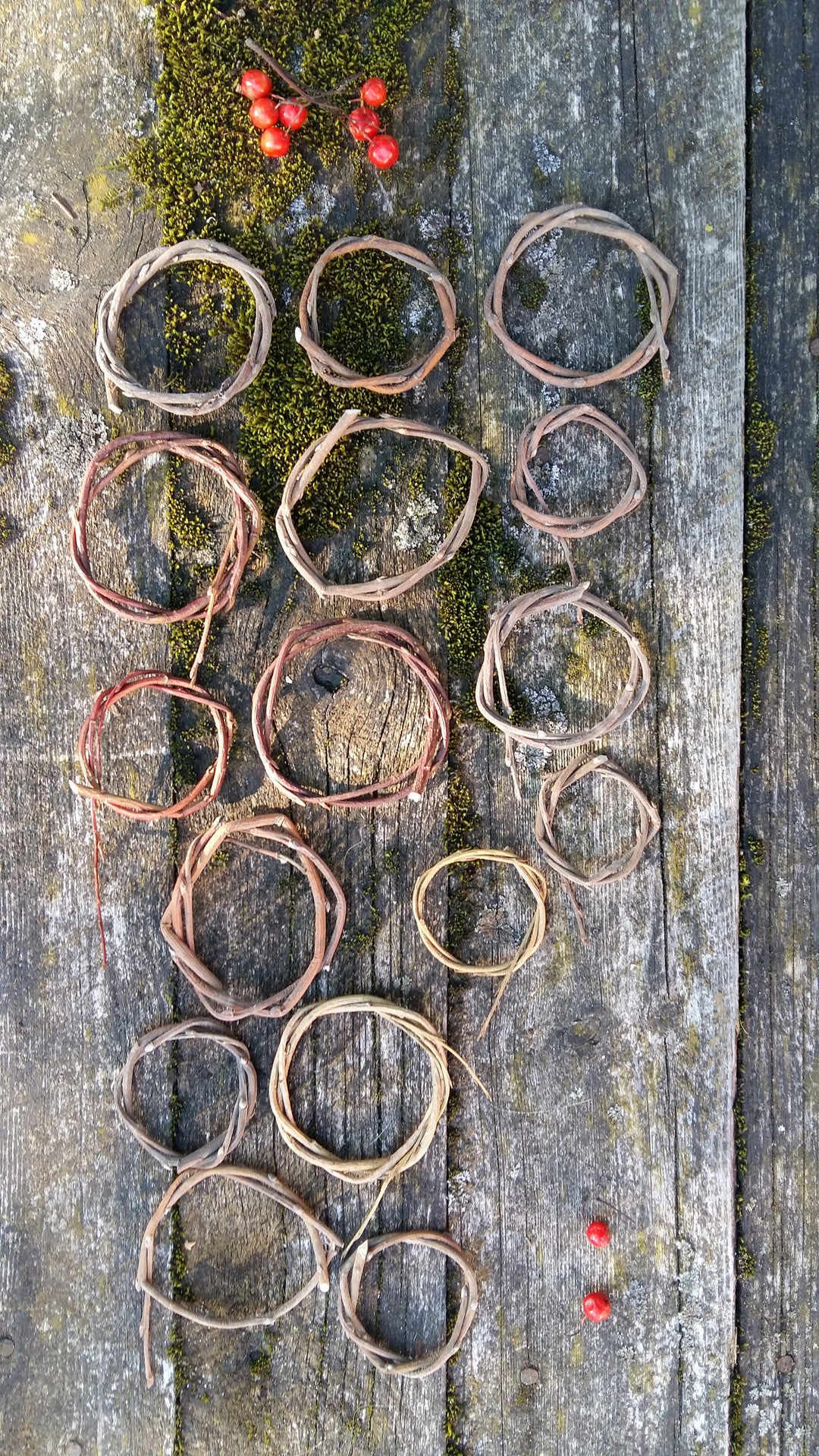 Mini Hoops Miniature Dreamcatcher Hoops Natural Willow Circle DIY Craft ...