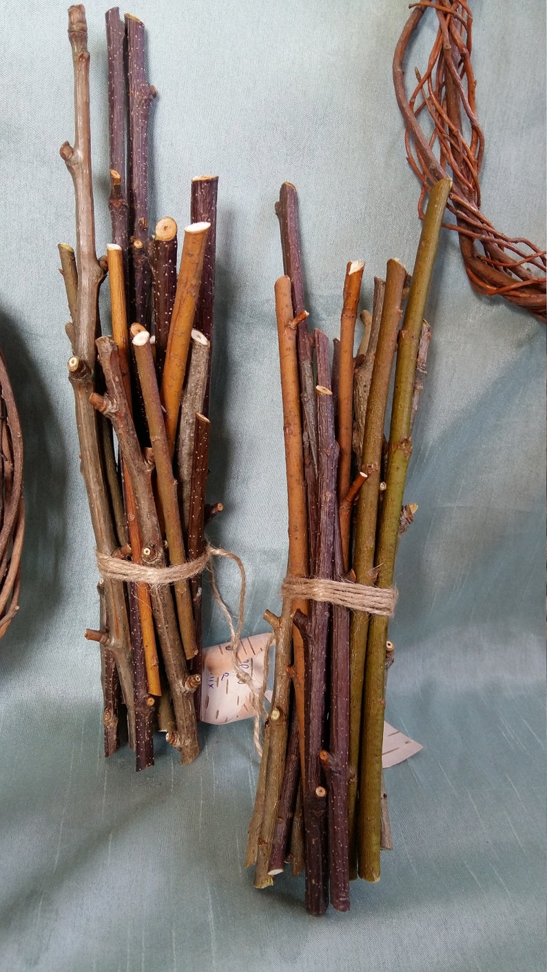 Craft Sticks Natural Northern Tree Wood Sticks Set Rustic - Etsy
