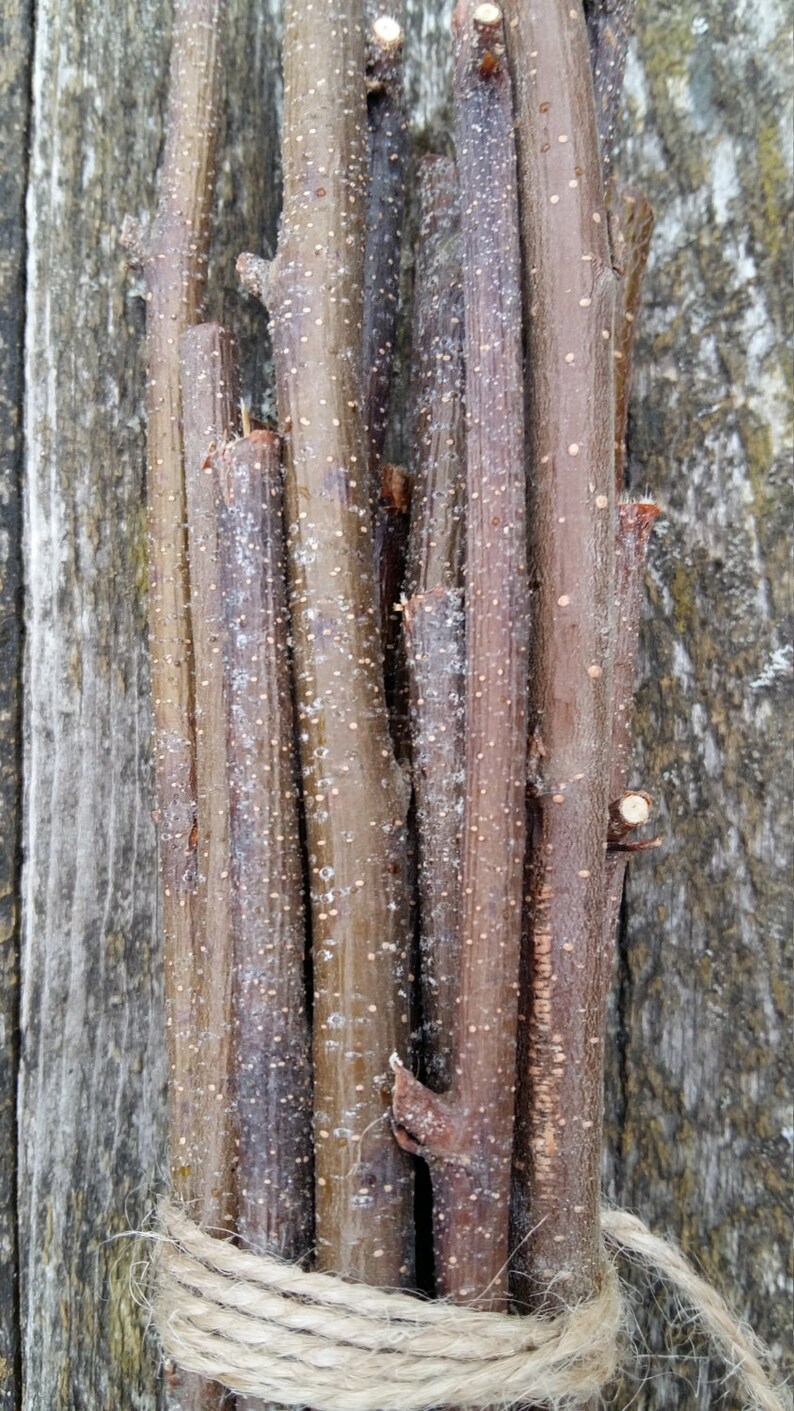 Birch Twigs Crafting Sticks Rustic Home Decor Bundle Tree - Etsy
