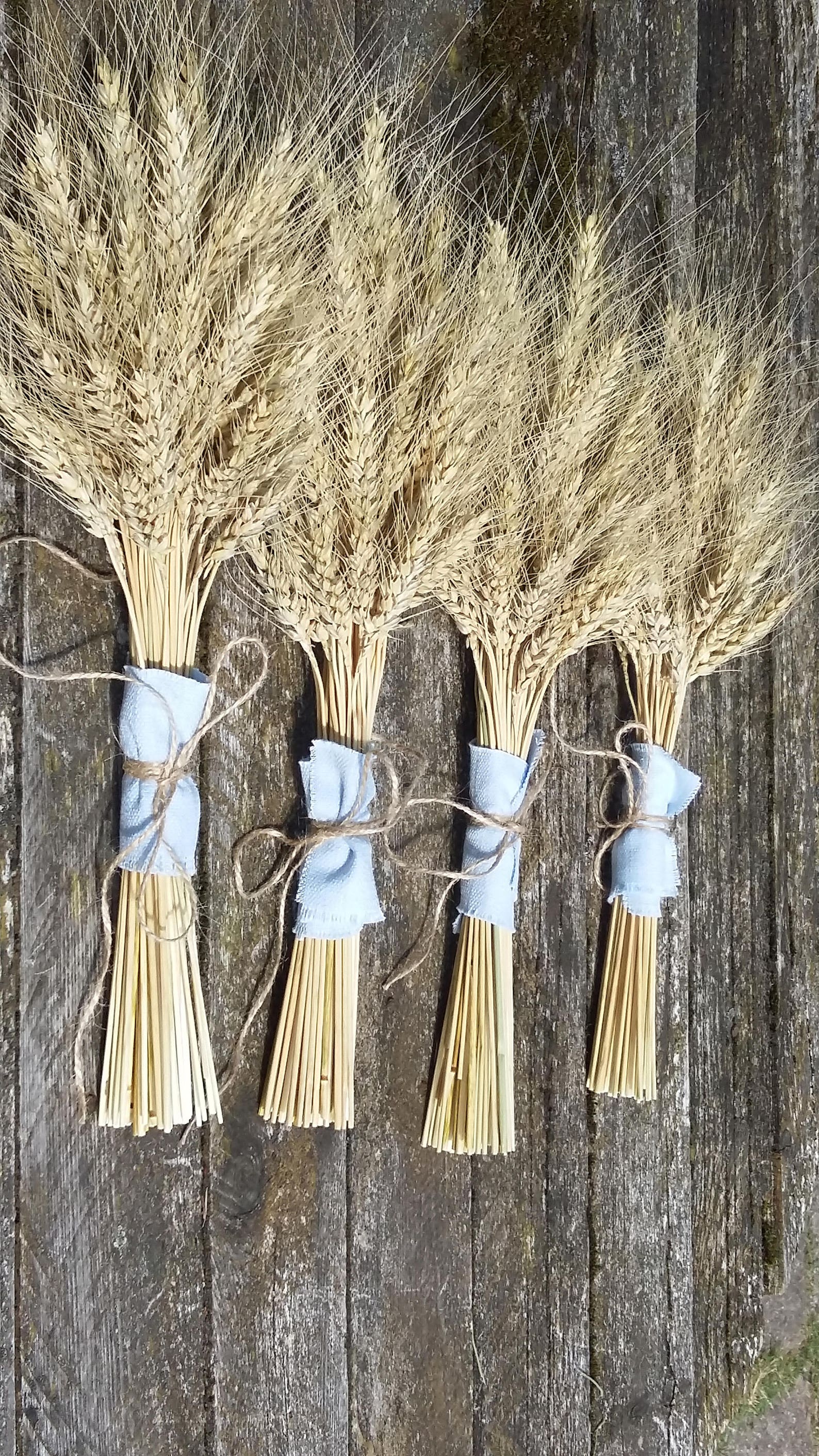 Natural wheat dried flowers bouquet ears of rye dried bunch | Etsy