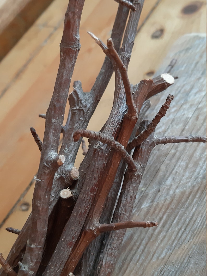 Thorns thorny branches decor rustic home easter decoration | Etsy