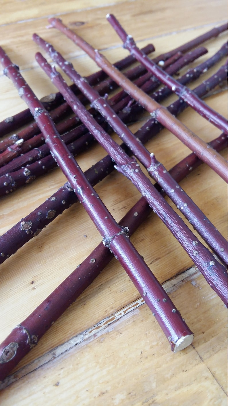 Craft Sticks Red Dogwood Tree Wood Branches Sticks Rustic Home - Etsy