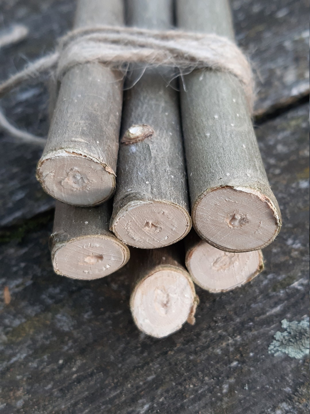 Ash Ogham Staves Supplies Short Ash Tree Wooden Sticks Carving Craftind ...