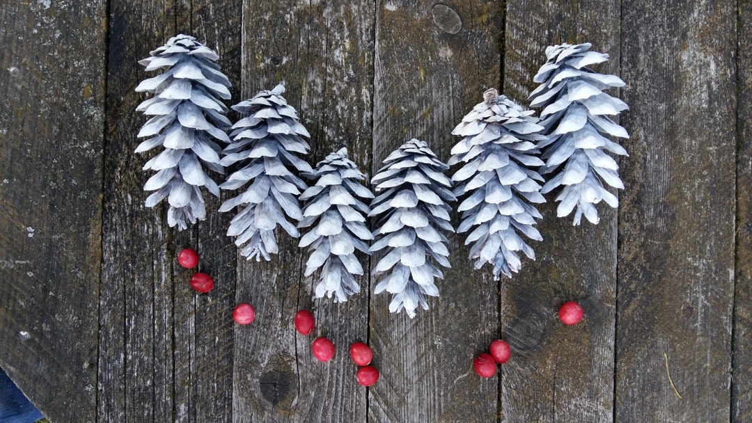Large Pine Cones Rustic White Primitive Home Decor Glass Filler ...
