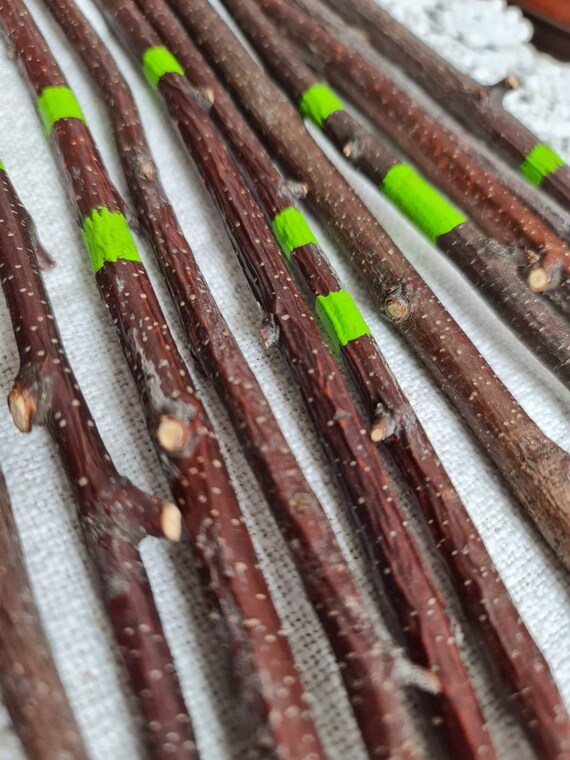 Natural Wood Sticks Hand Painted Rustic Home Decor Primitive | Etsy