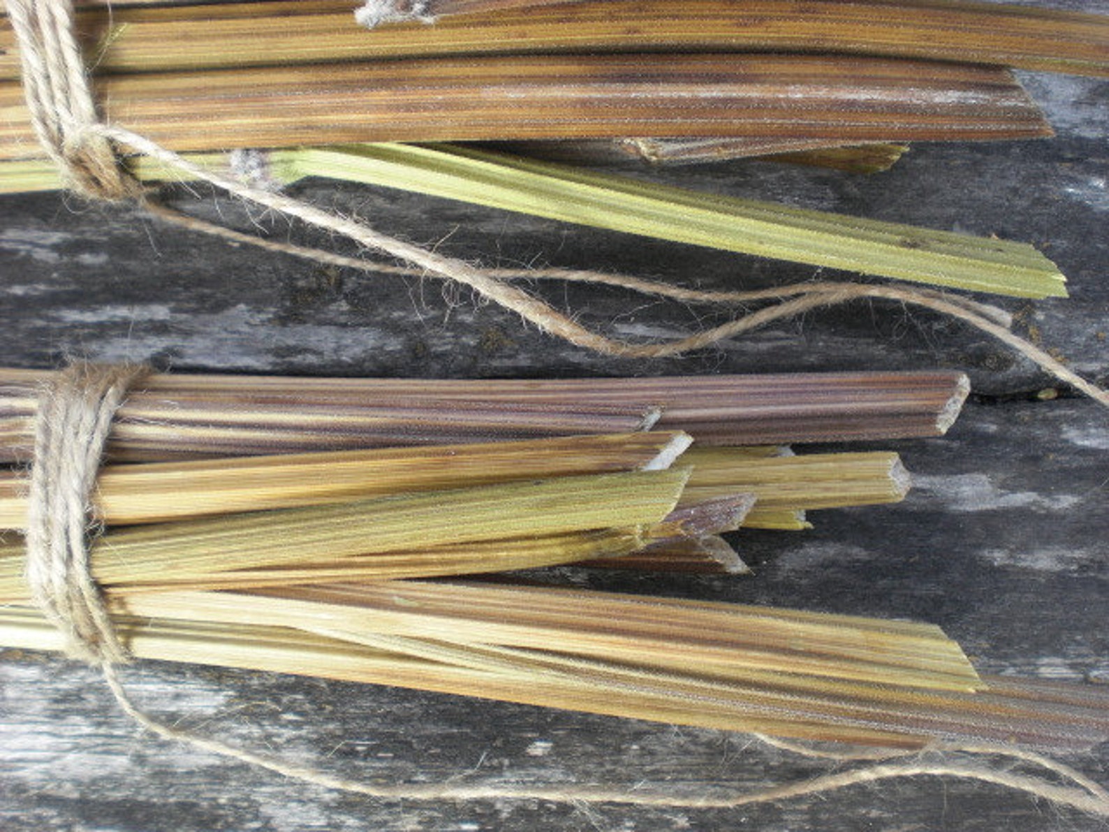 Natural Plant Craft Material Stems Sticks Botanical Dried - Etsy