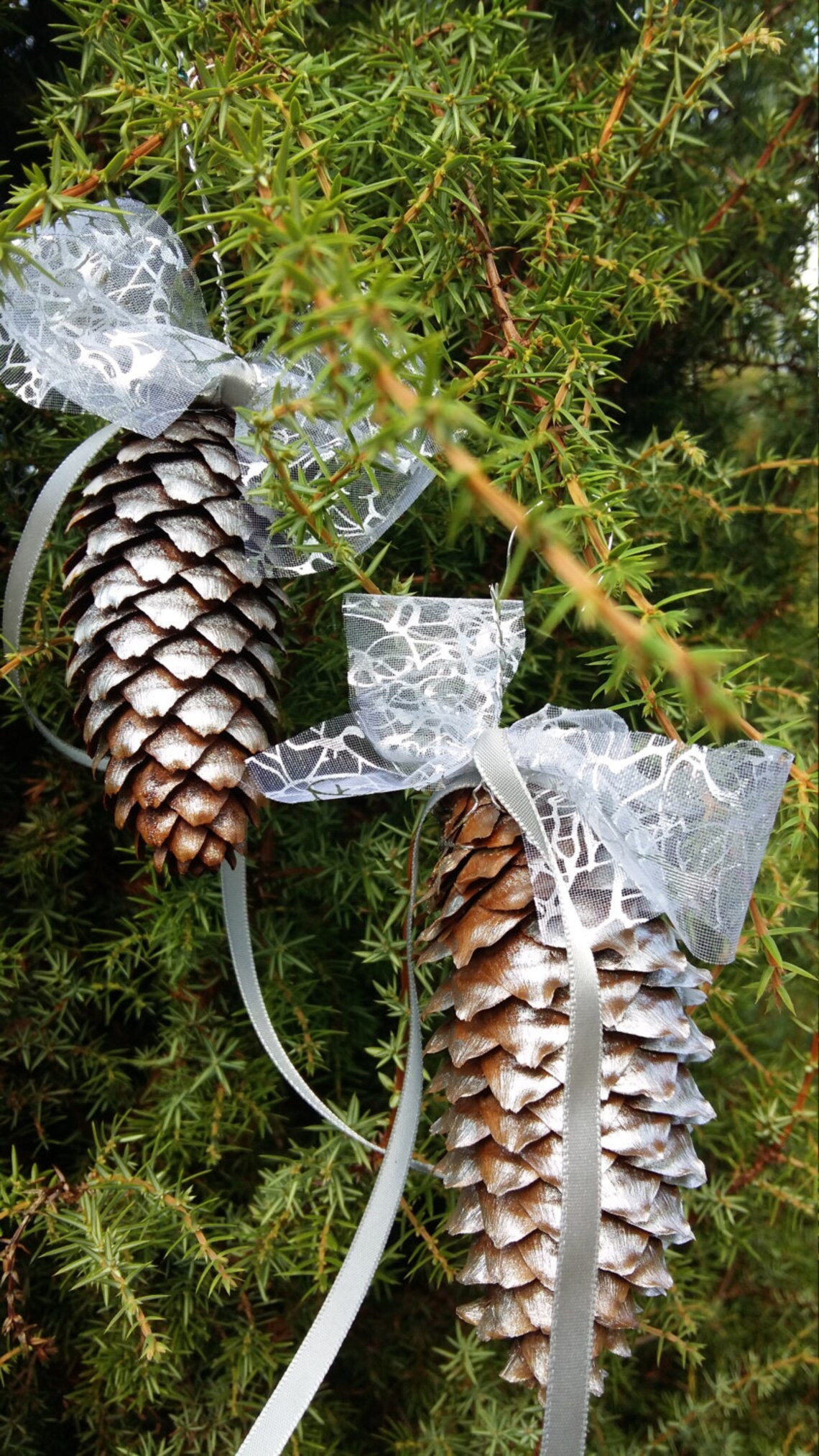 Natural Pine Cone Spruce Cone Christmas Tree Ornament Rustic - Etsy