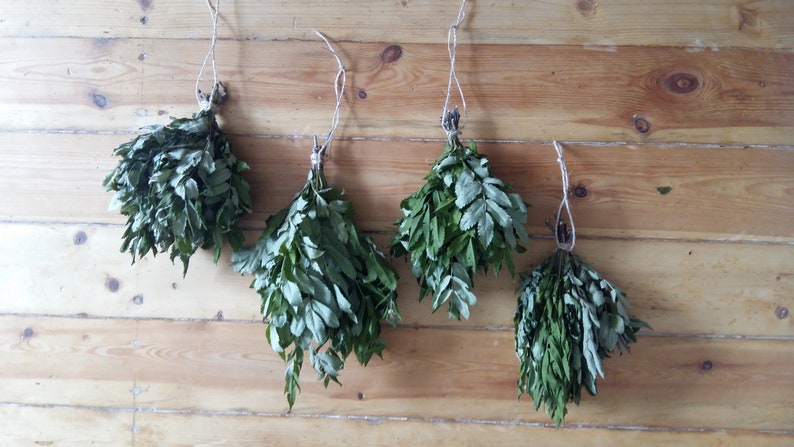 Natural dried leafs bundle protective rowan tree leaf herbal | Etsy