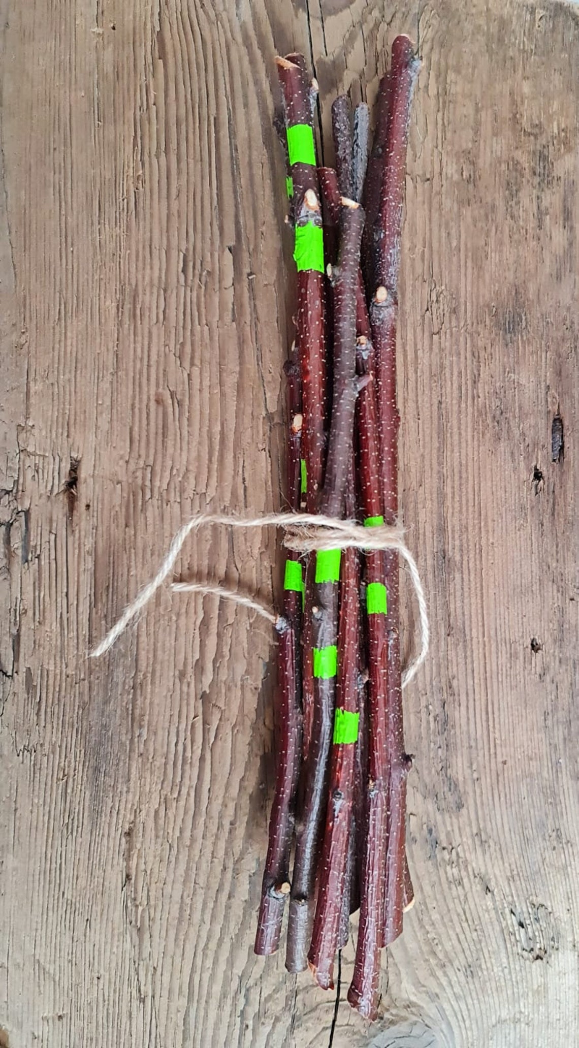 Natural Wood Sticks Hand Painted Rustic Home Decor Primitive | Etsy