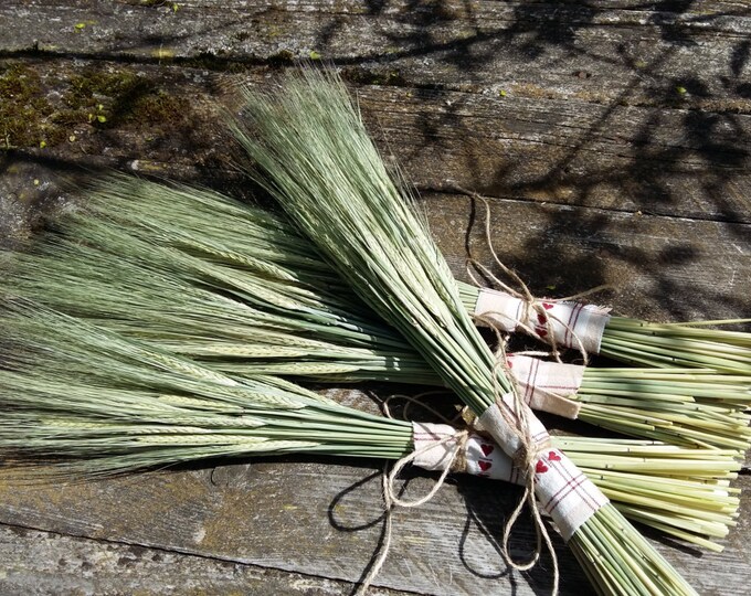 Natural Beer Barley Dried Flower Bouquet Rustic Bunch Bundle Country ...