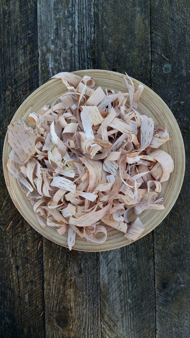 Birch Bark Confetti White Birch Bark Strips Shreds Curls Art Crafts ...