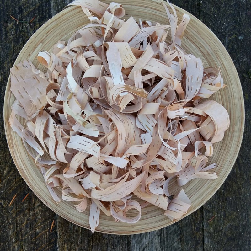 White Birch Bark - Etsy