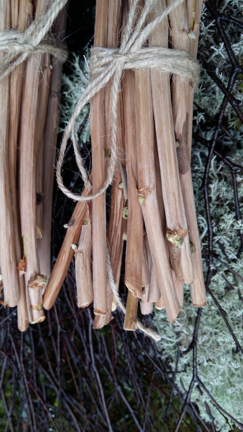 Wood Sticks Crafting Art Craft Sticks Twigs Flowering - Etsy