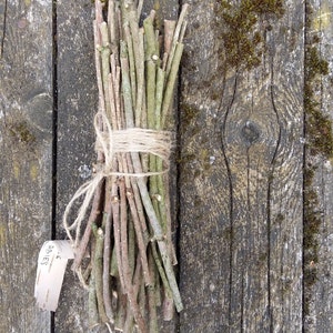 Fir Tree Abies Twigs Bundle Natural Branches Rustic Home Decor Woodland ...