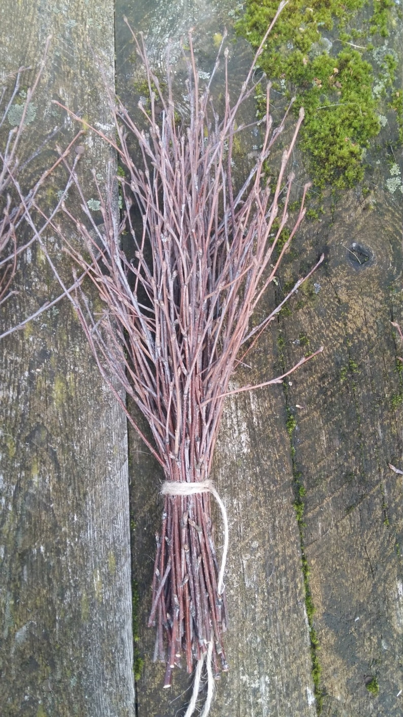 Rustic Natural Decor Birch Twigs Bundle Branches Primitive - Etsy