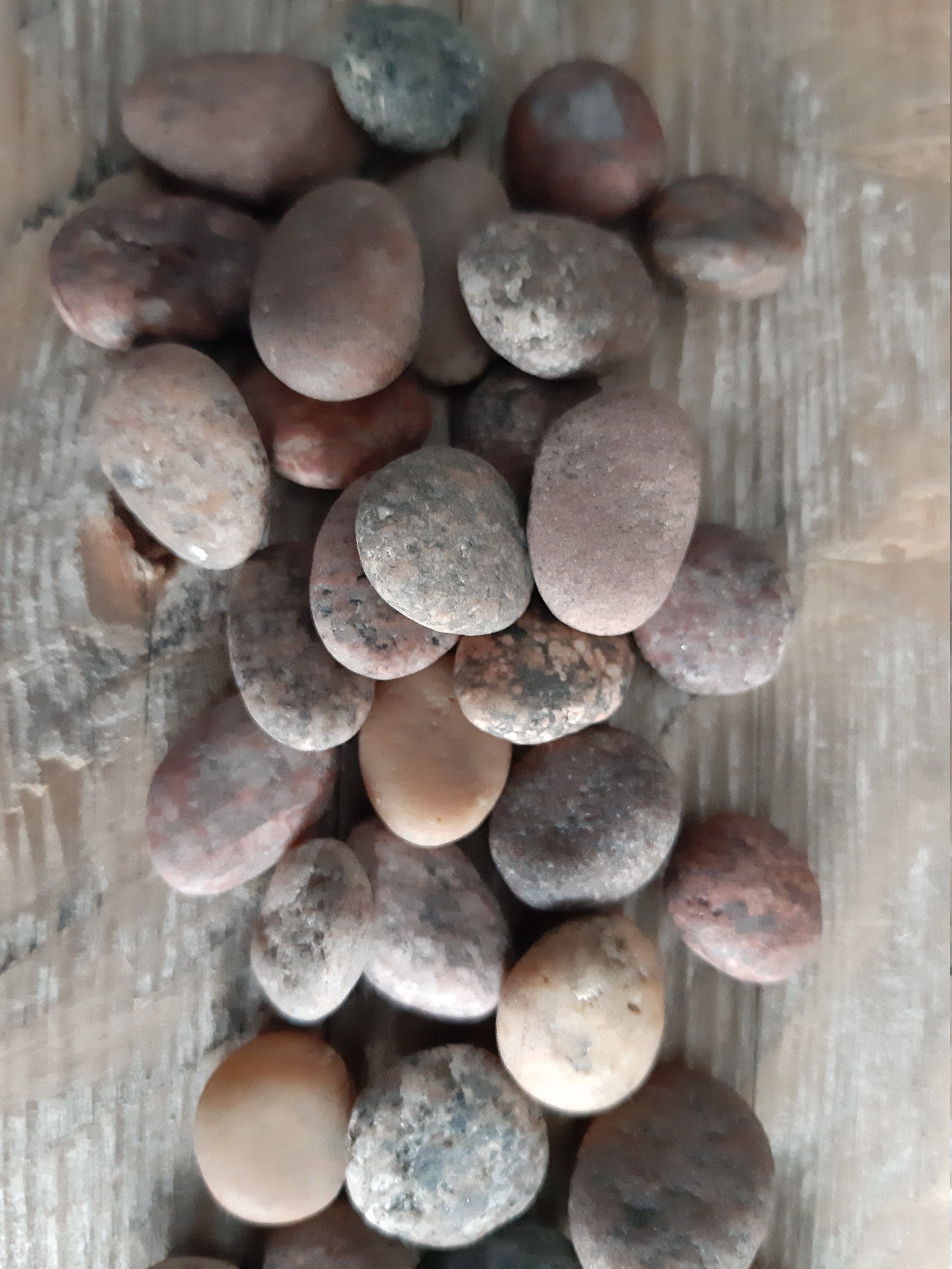 60 beach pebbles small size genuine rocks smooth flat and | Etsy