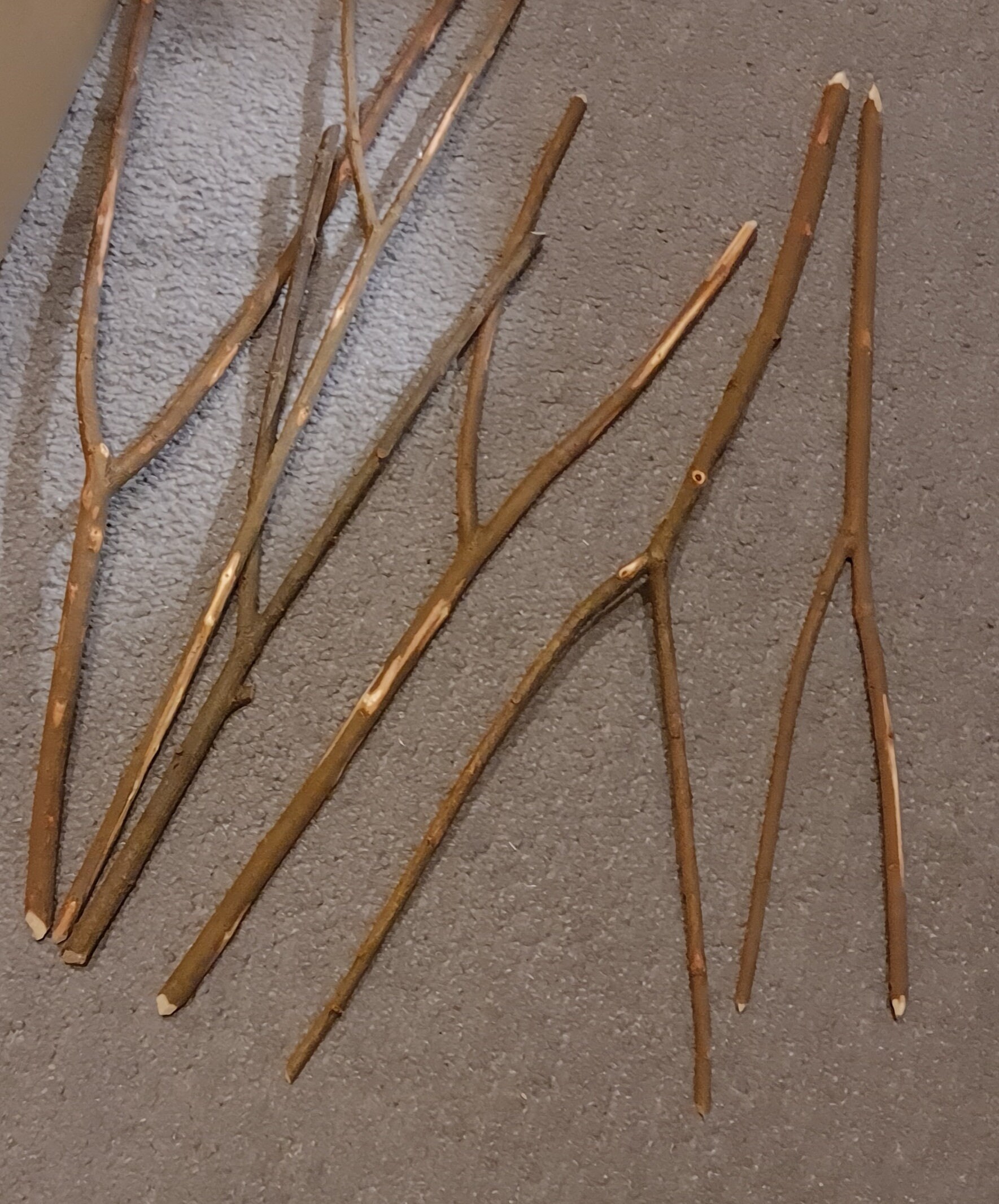 Natural Willow Wood Sticks Branches Set Decorative Forked Tree Sticks ...