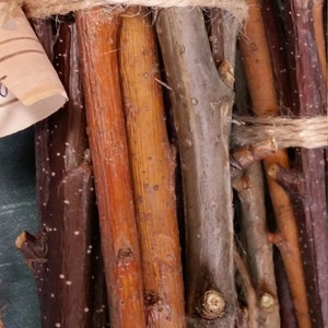 Craft Sticks Natural Northern Tree Wood Sticks Set Rustic Pimitive ...