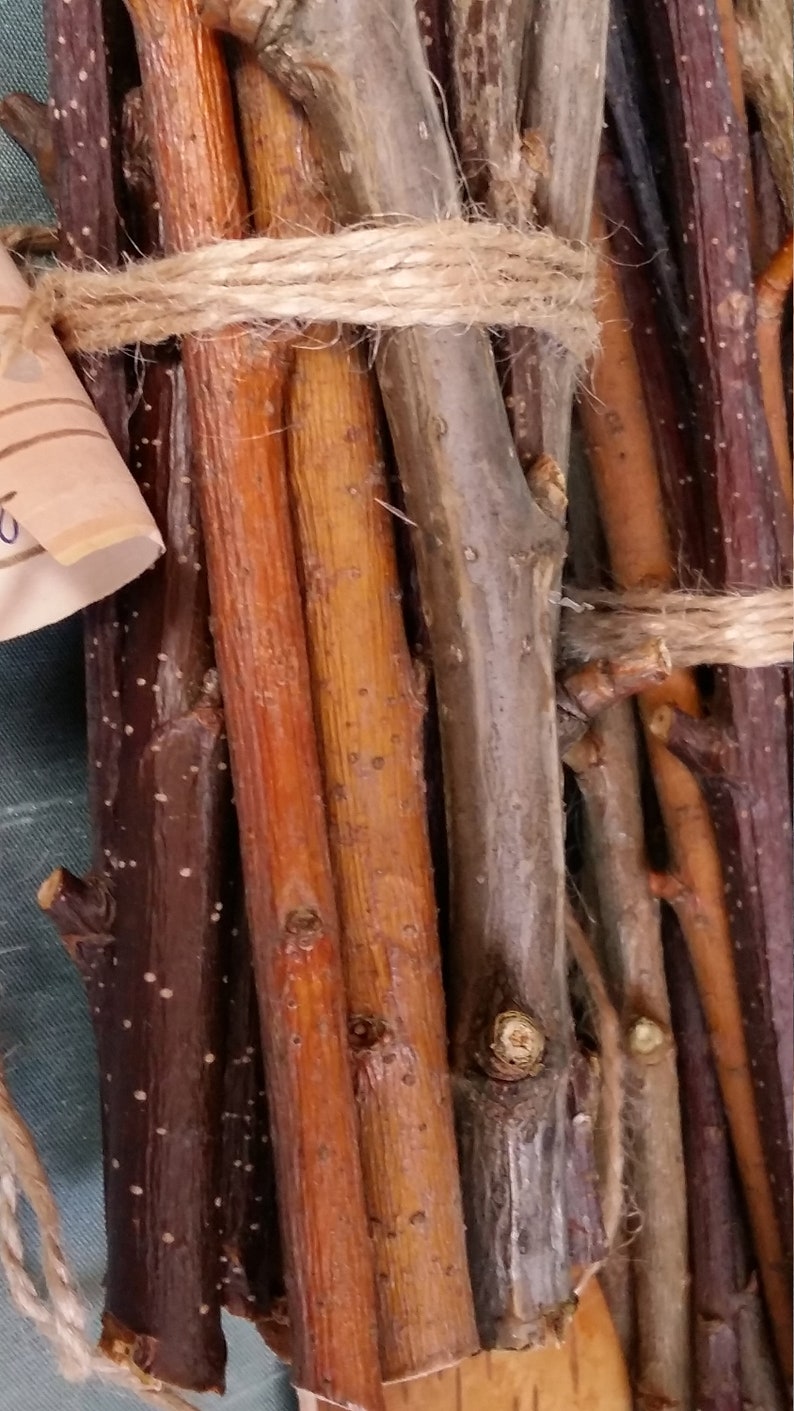 Craft Sticks Natural Northern Tree Wood Sticks Set Rustic | Etsy