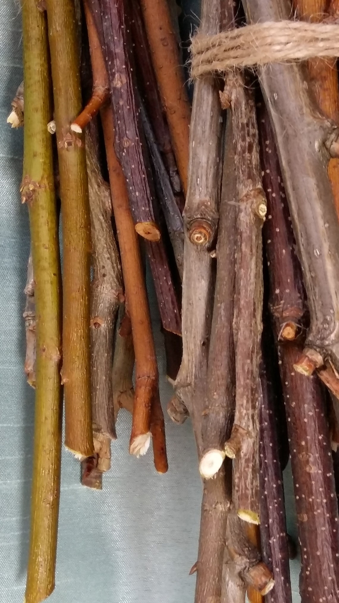 Craft Sticks Natural Northern Tree Wood Sticks Set Rustic | Etsy