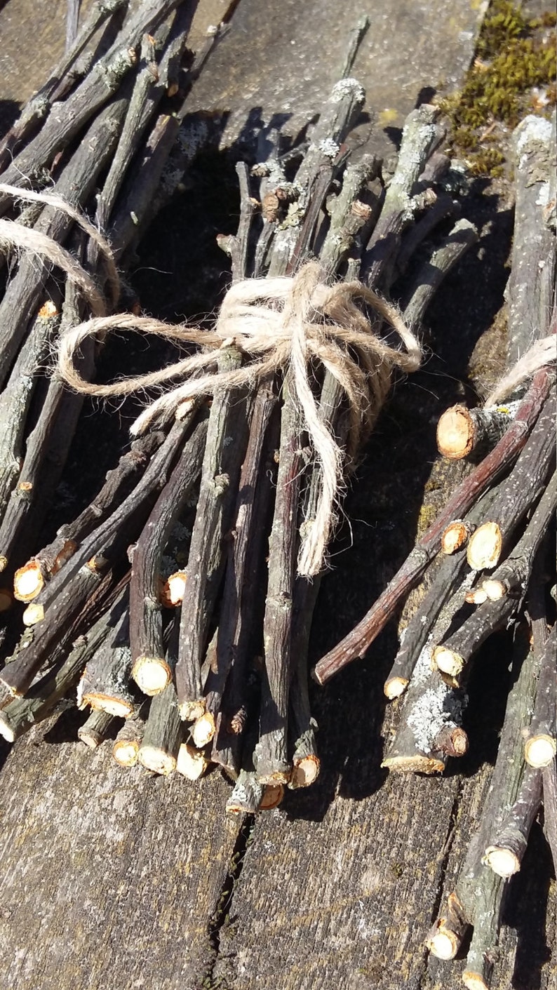 Wooden Sticks Apple Tree Twigs Bundle Natural Branches Small - Etsy