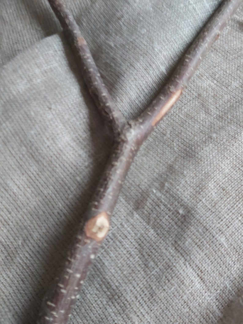 Natural Wood Hazel Y Shaped Wooden Stick Natural Tree Branch Rituals ...