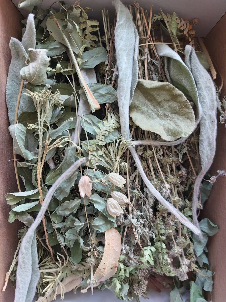 Dried Flowers Natural Botanicals Herbs Woodland Finds Mix - Etsy