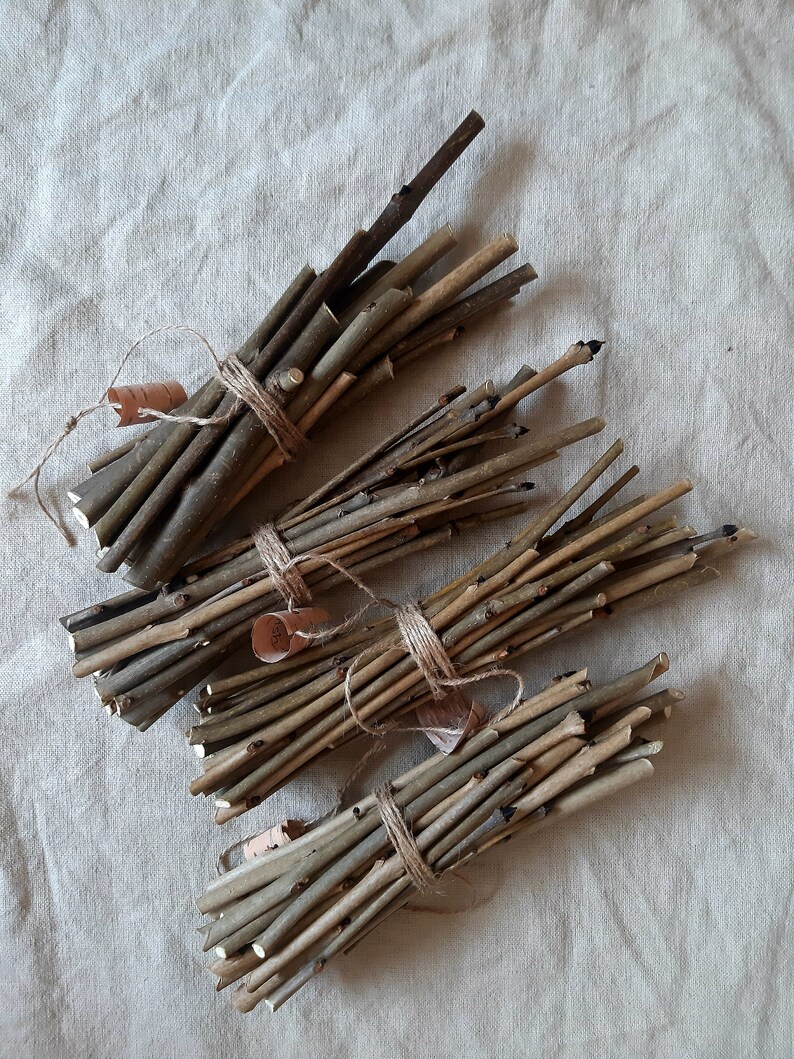 Ash Branches European Ash Tree Twigs Sticks Sacred Wood Magic | Etsy Canada