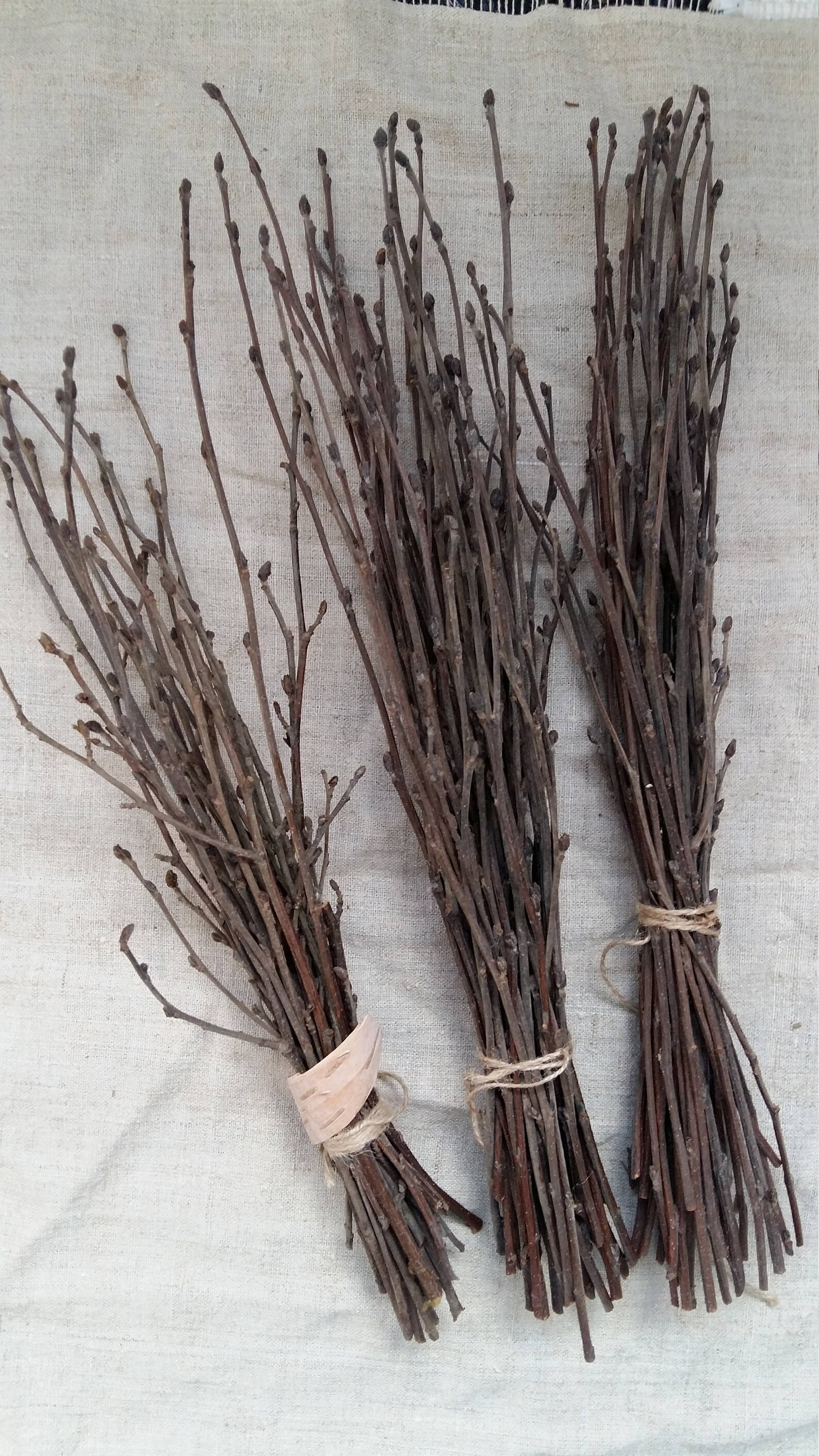 Tree branches bouquet decor natural twig springs alder wood | Etsy