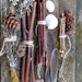 Nature Curiosity Collection Set Curio Shelf Starter Kit Natural ...