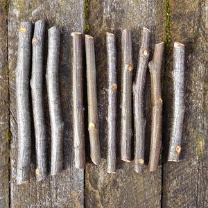 Ogham Set Supplies Wood Sticks Branches Twigs Natural Alder Tree Wooden ...