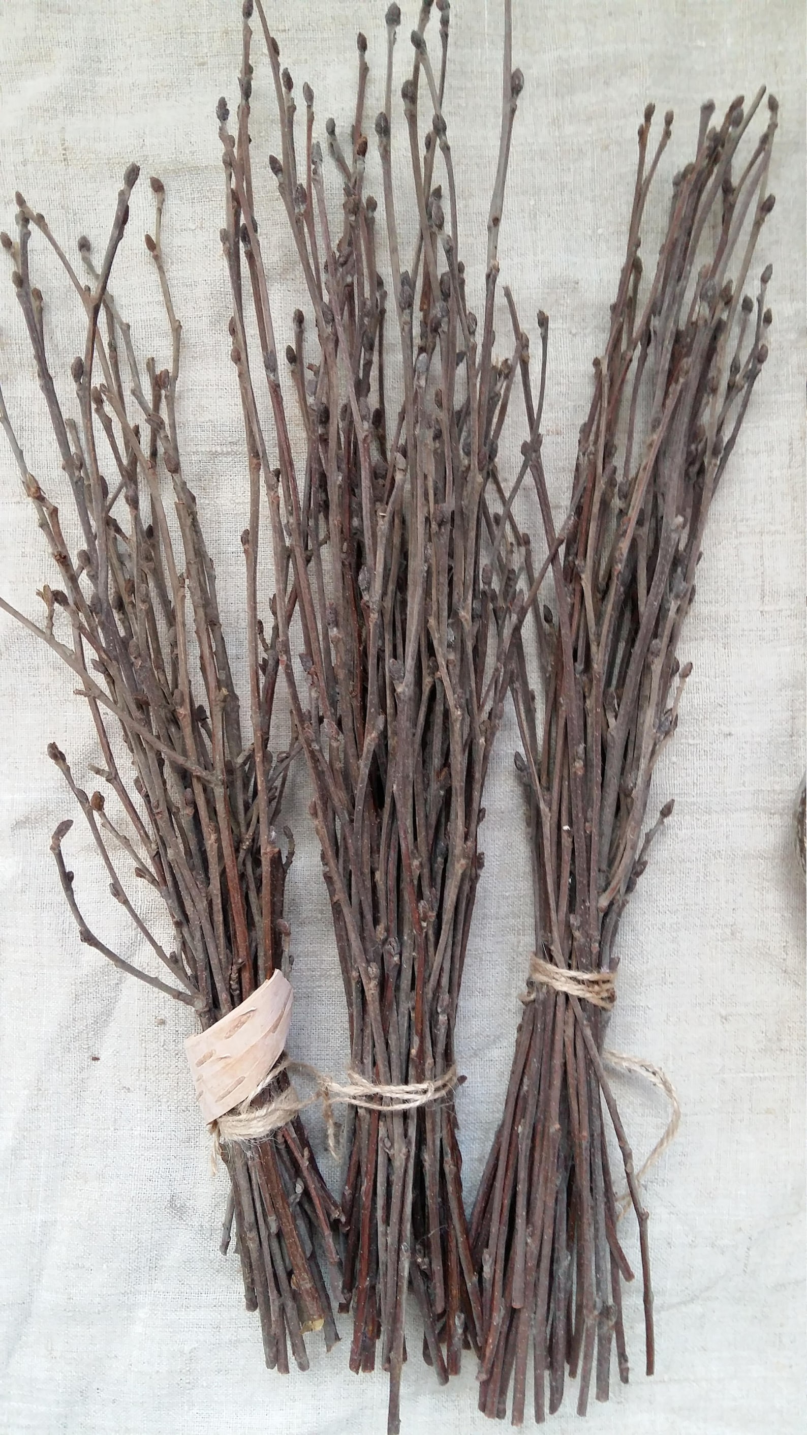 Tree branches bouquet decor natural twig springs alder wood | Etsy