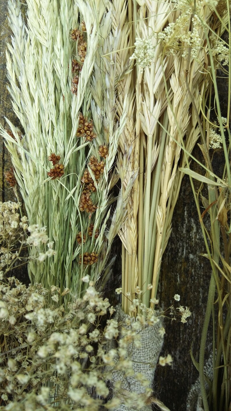 4 dried flower bouquets dried grass bunch natural eco friendly | Etsy