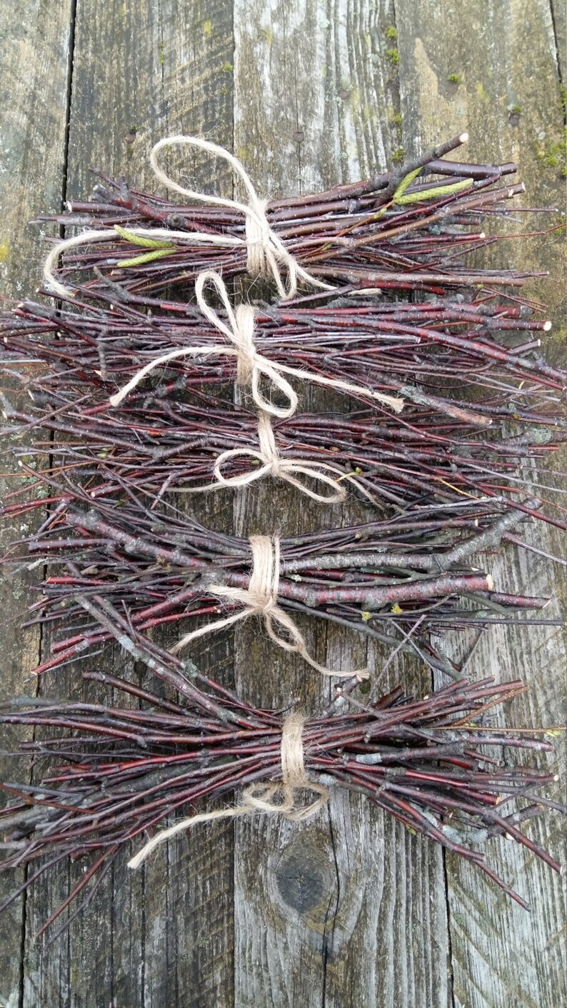 Birch Tree Twigs Branches 6 Bundles Rustic Woodland Wedding - Etsy