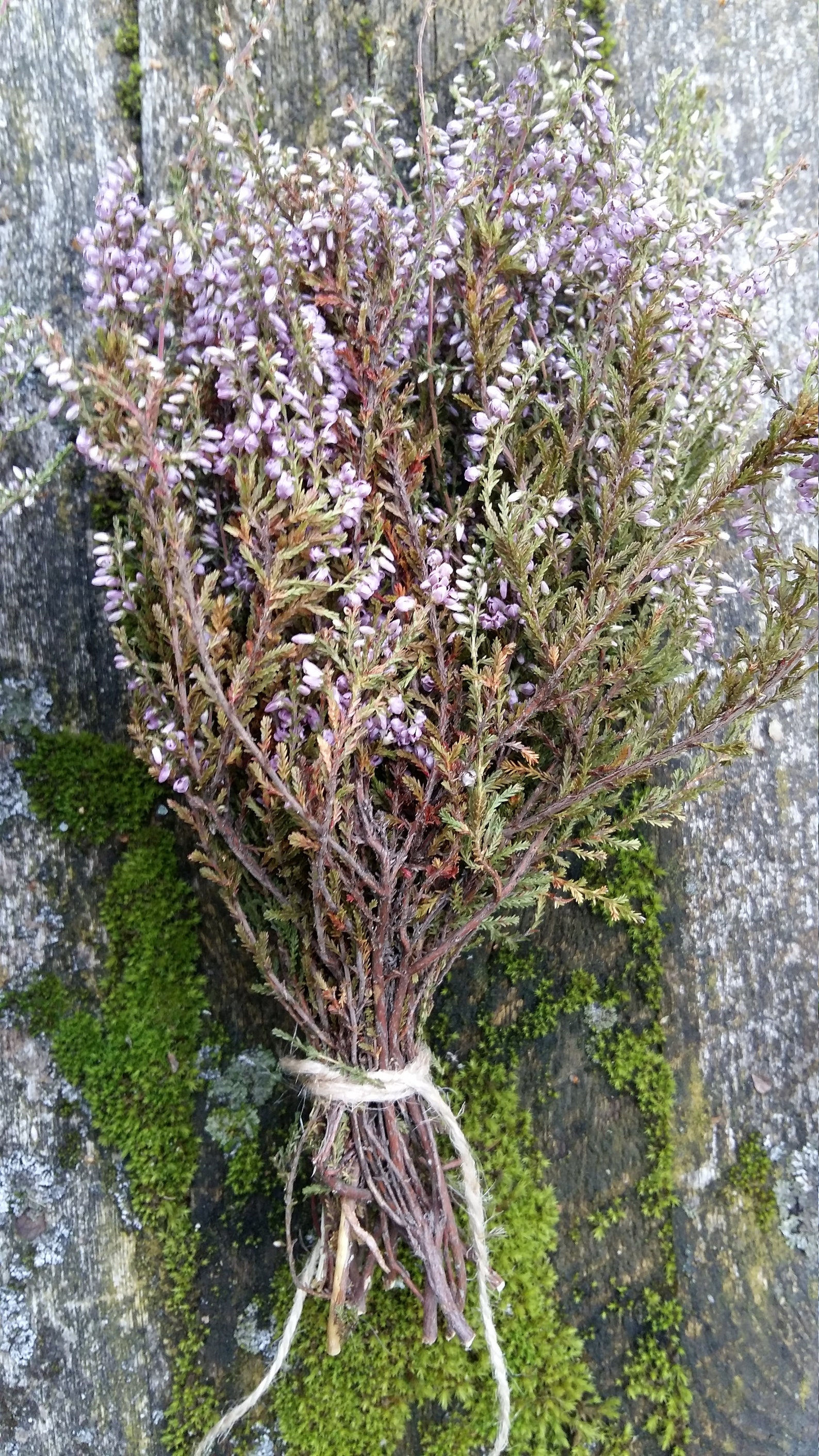 Heather Bouquet Dried Flowers Purple Lilac Pink Lavender Color - Etsy