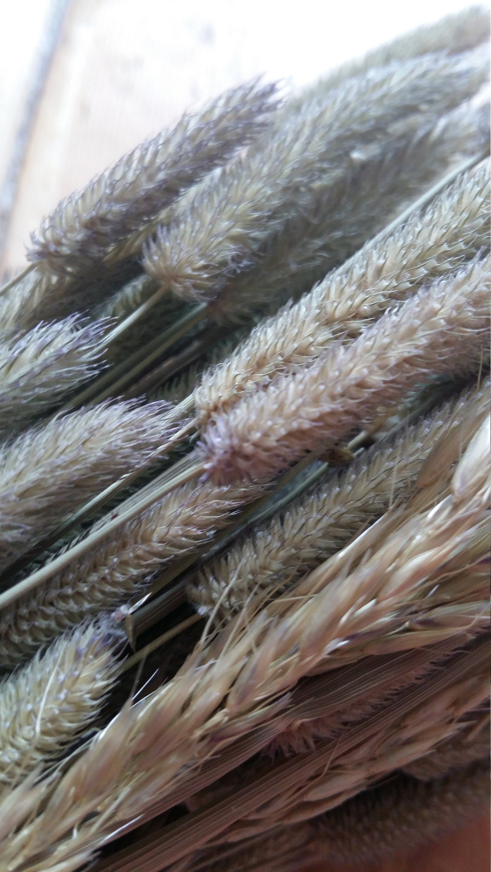 Wheat Grass Bouquet of Dried Flowers Natural Wild Flowers - Etsy