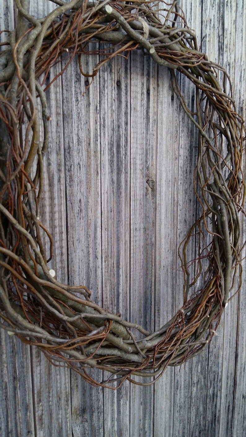 Curly Willow Wreath Hoop Natural Twisted Willow Tree Twigs - Etsy