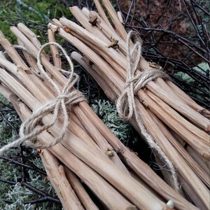 Wood Sticks Crafting Art Craft Sticks Twigs Flowering Raspberry ...