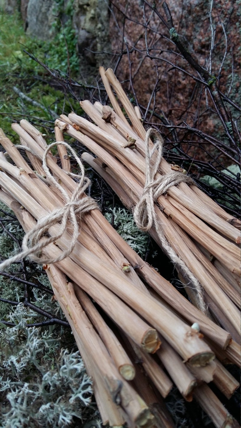 Wood Sticks Crafting Art Craft Sticks Twigs Flowering - Etsy