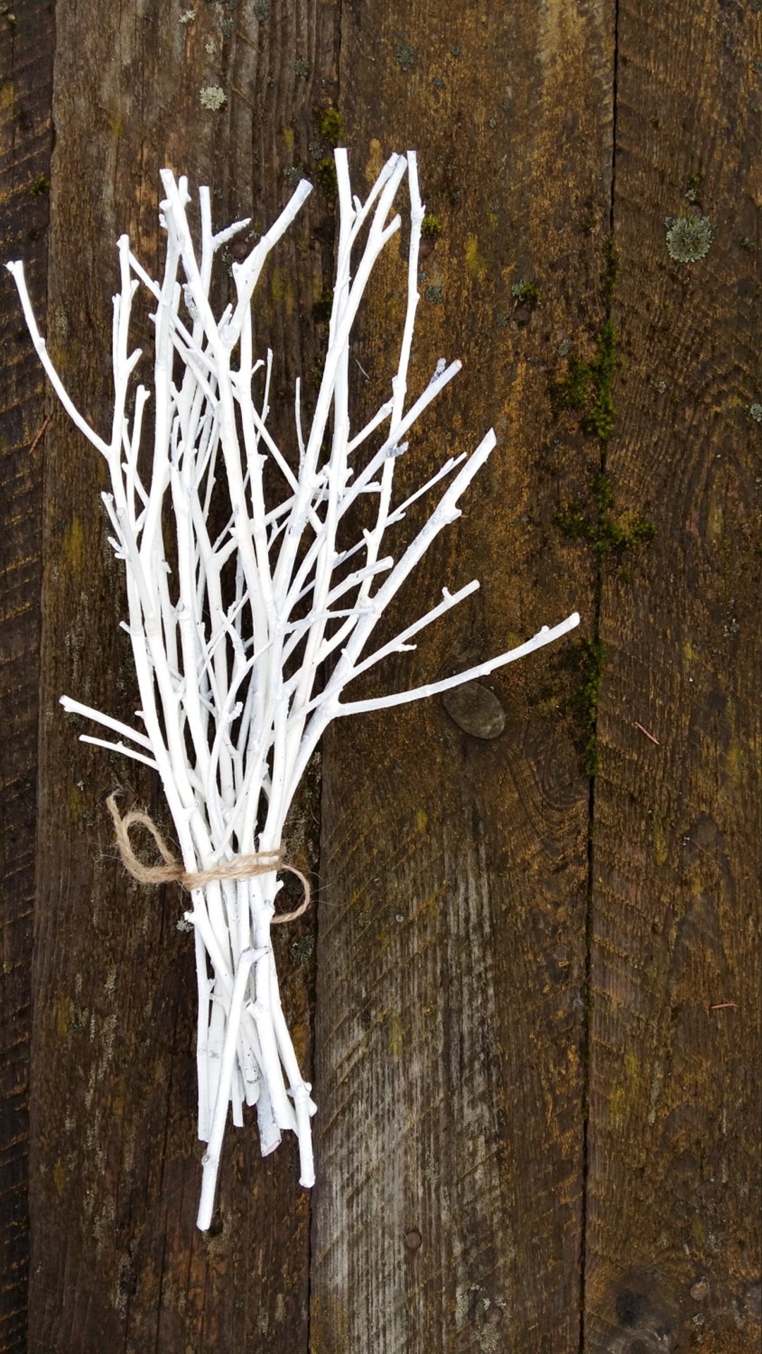White Twigs Birch Branches Hand Painted Natural Twigs Vase Filler ...
