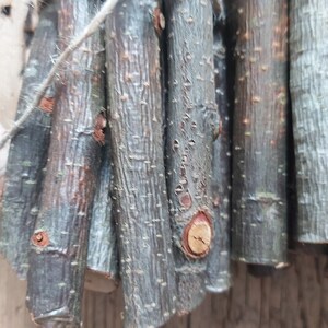 Ogham Set Supplies Wood Sticks Branches Twigs Natural Alder Tree Wooden ...