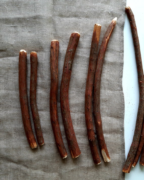 Tree Stick Tool