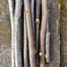 Ogham Set Supplies Wood Sticks Branches Twigs Natural Alder Tree Wooden ...