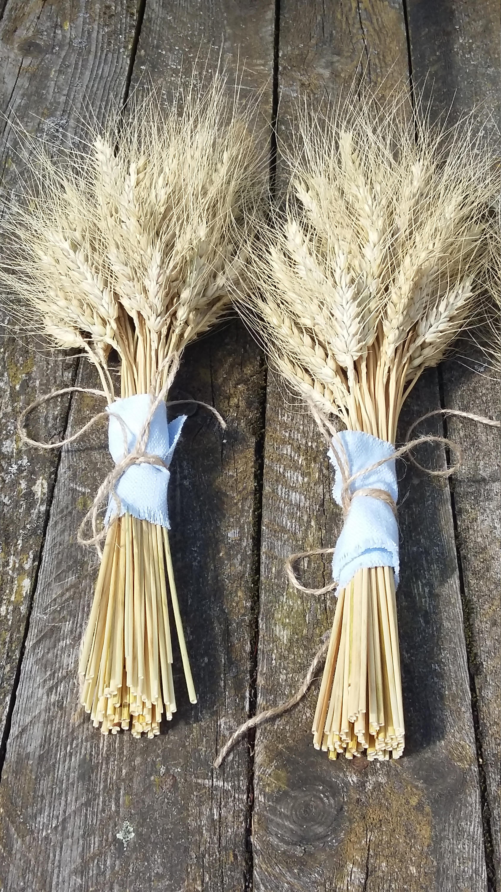 Natural wheat dried flowers bouquet ears of rye dried bunch | Etsy
