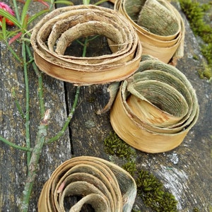 Rustic Home Decor Primitive Willow Wood Bark Decor Wooden Tree Small ...