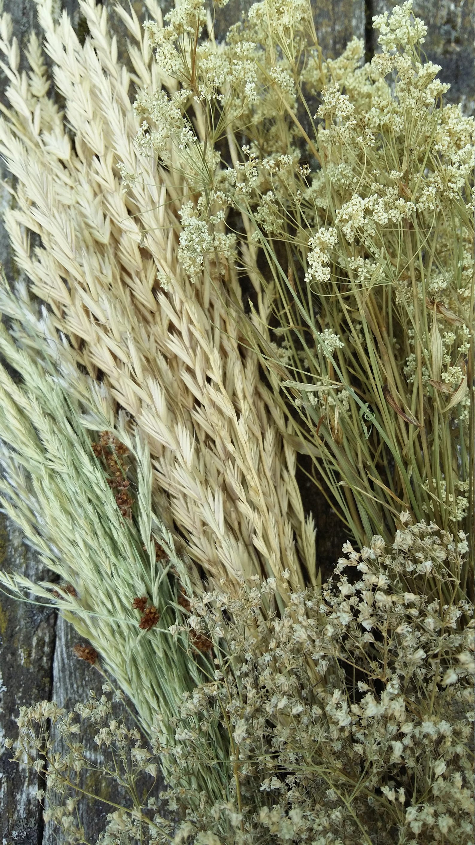 4 dried flower bouquets dried grass bunch natural eco friendly | Etsy