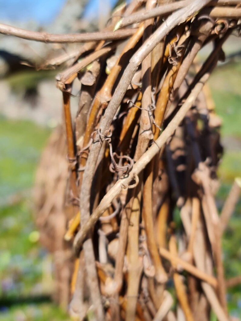 Natural Vine Twigs Wreath Biodegradable Decor Wall Hanging - Etsy