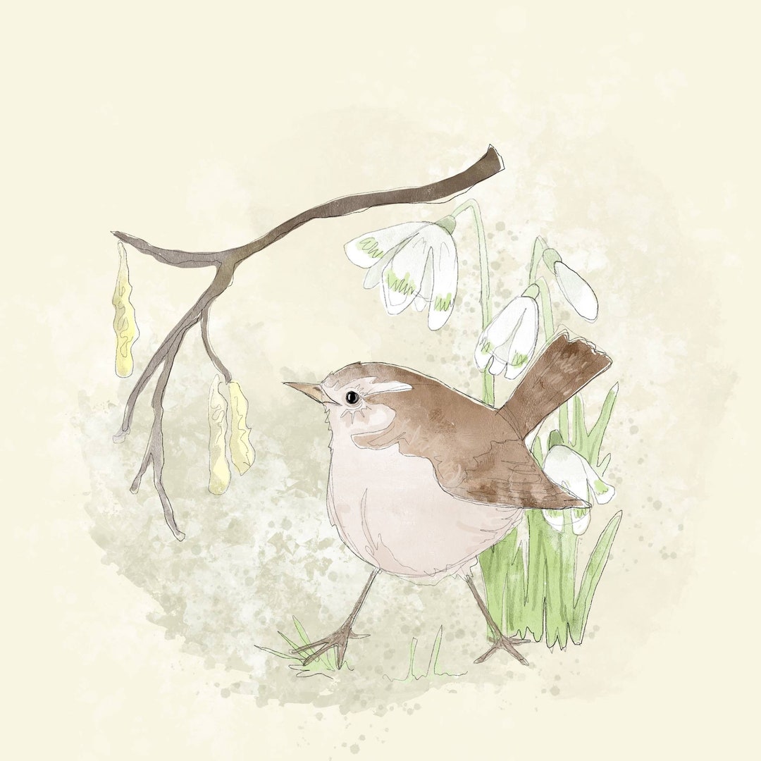 Spring Awakening Series Wren Printed Panel on Quilting Cotton 30. 5 by ...